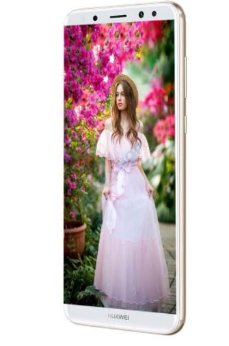 HUAWEI Maimang 6 (4+64GB/RNE-AL00)